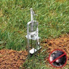 Mole Terminator Trap