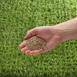 Ultra Shademaster Grass Seed (2 lb.)